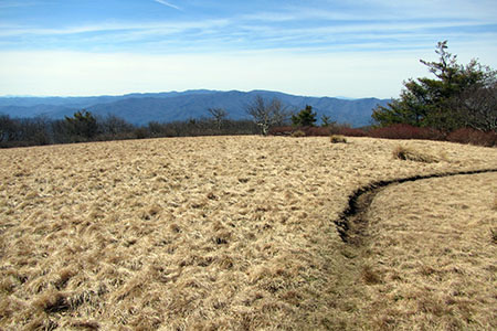 915 - Gregory Ridge Trail Guide - Metro to Mountain Journal