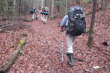 899 - Gregory Bald - Trip Notes - Metro to Mountain Journal